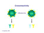 PPT - Antibody structure and function PowerPoint Presentation - ID:487371