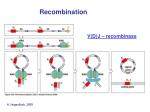 PPT - Antibody structure and function PowerPoint Presentation - ID:487371