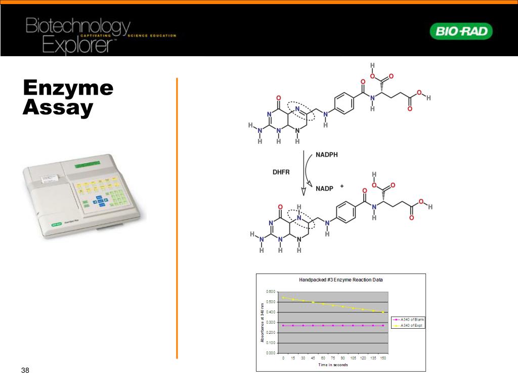 PPT - Protein Purification: From industrial enzymes to cancer therapy ...