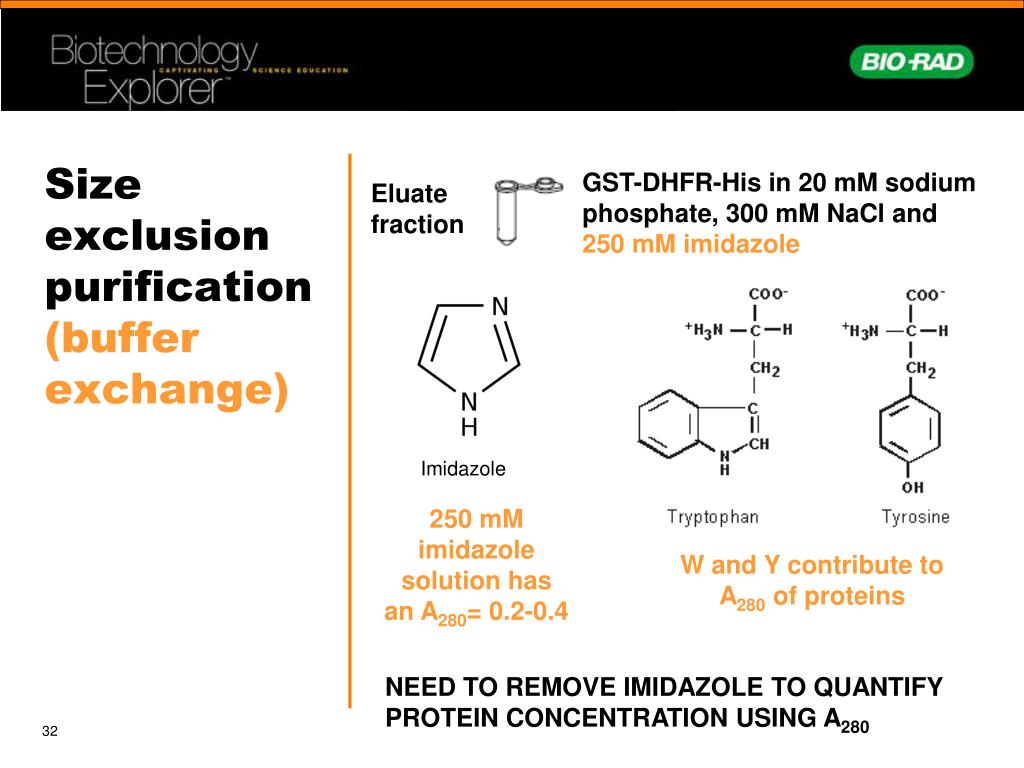 PPT - Protein Purification: From industrial enzymes to cancer therapy ...