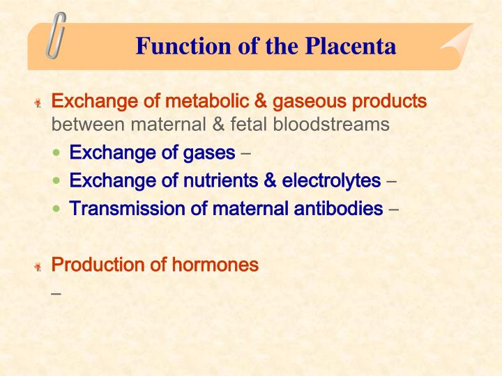 PPT - Fetal Membranes & Placenta PowerPoint Presentation - ID:490342