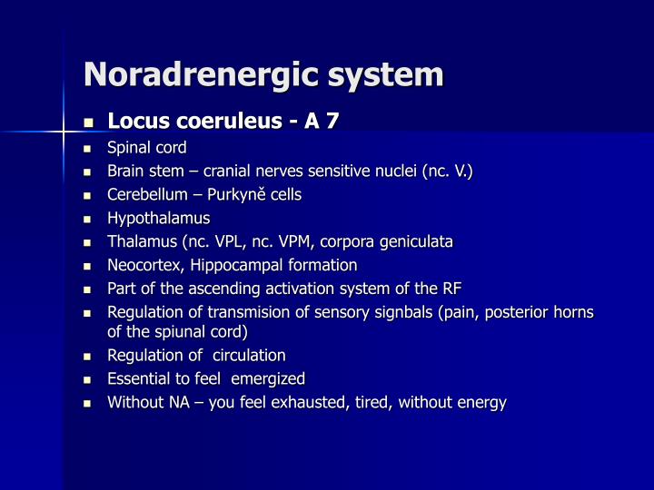 PPT - THE LIMBIC SYSTEM PowerPoint Presentation - ID:491441