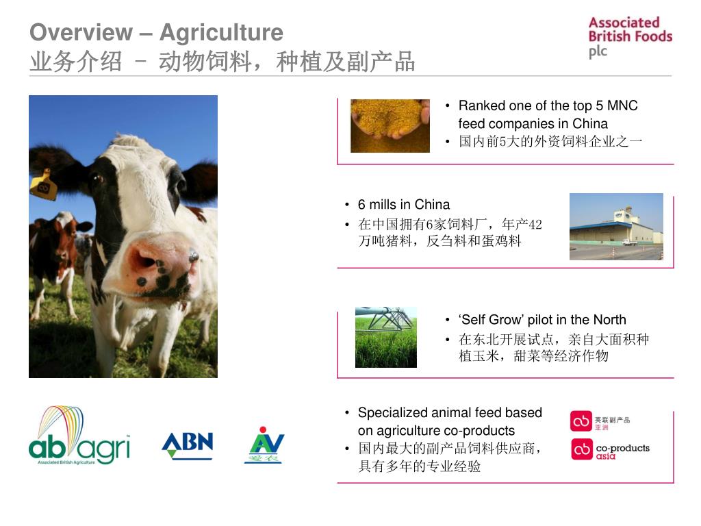 PPT - Associated British Foods in China 英联食品集团在中国 2009 Prepared by ABF ...
