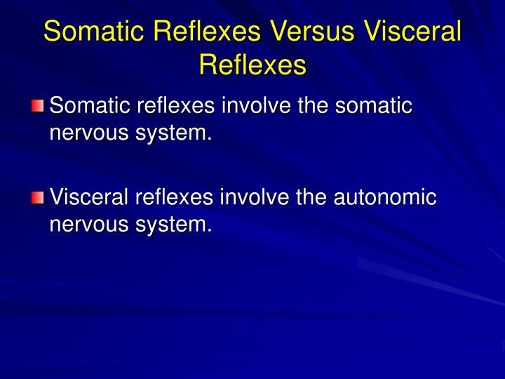 PPT - Spinal Cord PowerPoint Presentation - ID:491741