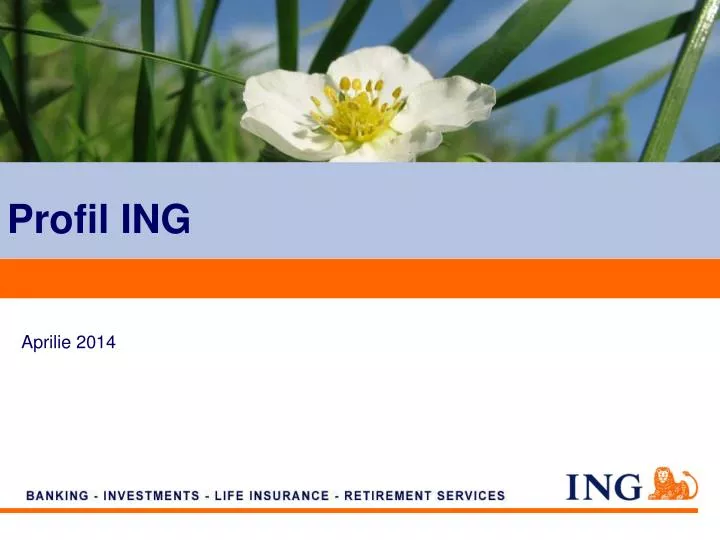 PPT - Profil ING PowerPoint Presentation, free download - ID:491782