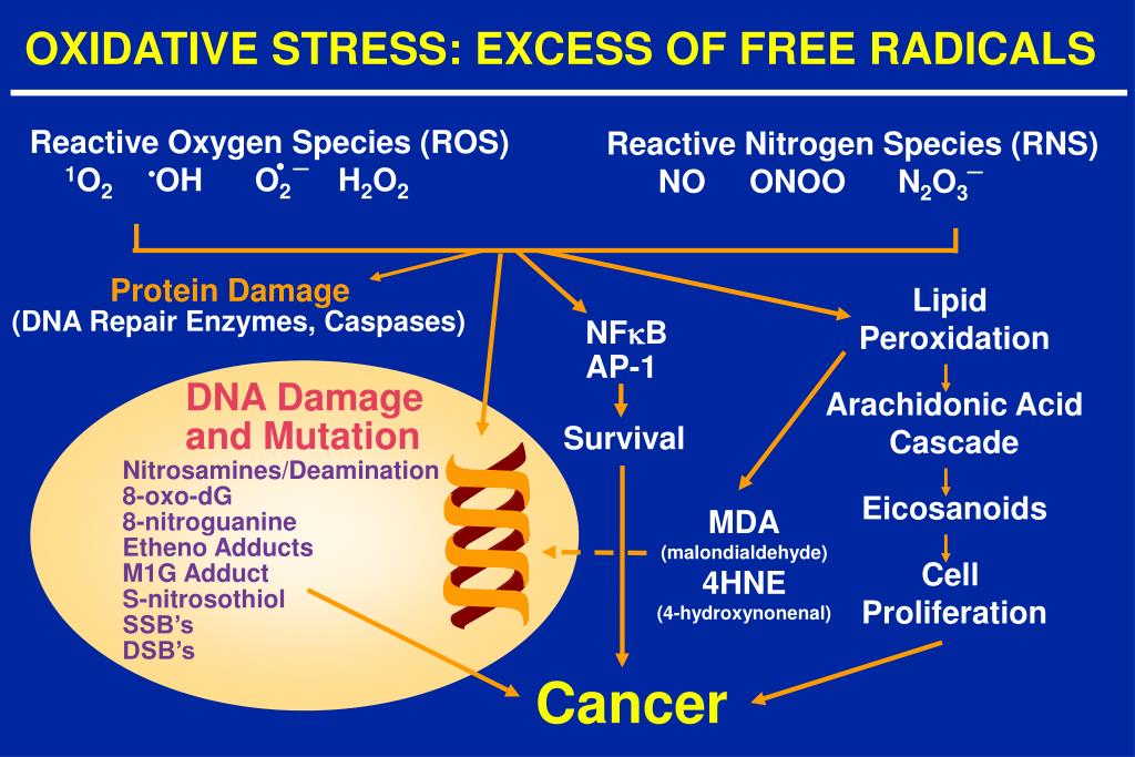 PPT - OXIDATIVE STRESS IN CANCER EPIDEMIOLOGY PowerPoint Presentation ...
