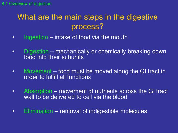 PPT - Chapter 8 PowerPoint Presentation - ID:492780