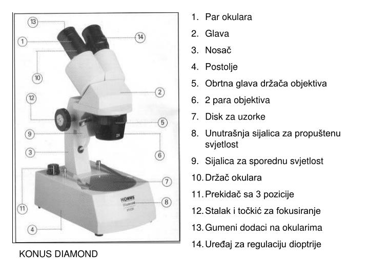 PPT - MEHANIČKI DJELOVI MIKROSKOPA Postolje (podloga) Stativ (ručica ...