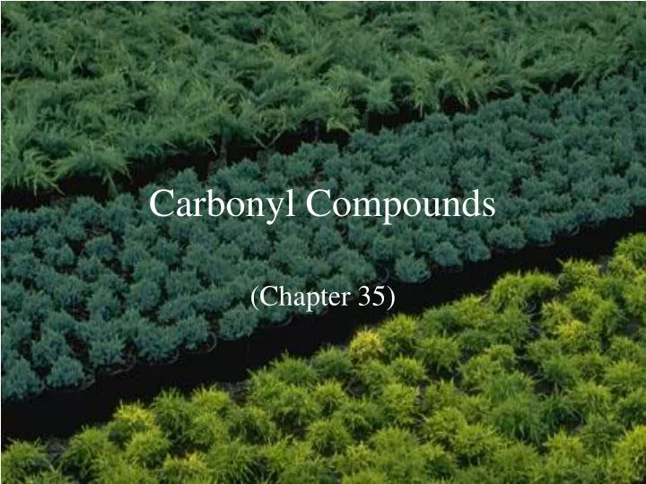 PPT - Carbonyl Compounds PowerPoint Presentation, free download - ID:493378