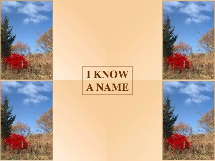 PPT - I KNOW A NAME PowerPoint Presentation, free download - ID:494235