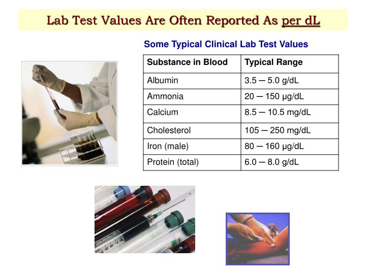 PPT - Chapter 1: Measurements PowerPoint Presentation - ID:494438