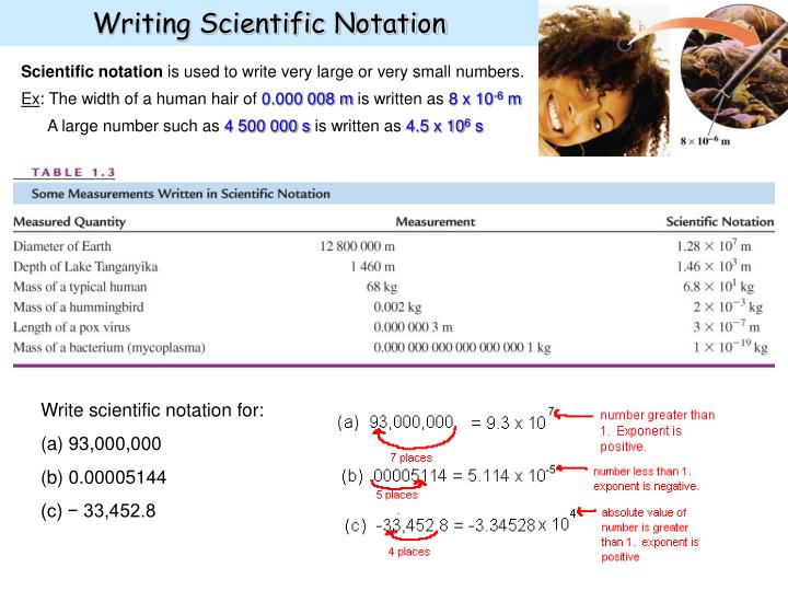 PPT - Chapter 1: Measurements PowerPoint Presentation - ID:494438