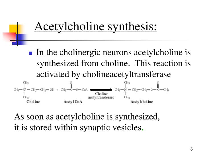 PPT - Neurotransmitters – Overview of Synthesis and Metabolism ...