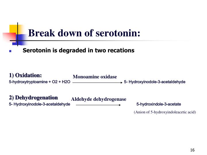 PPT - Neurotransmitters – Overview of Synthesis and Metabolism ...