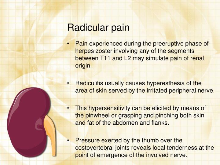 PPT - Urology Case PowerPoint Presentation - ID:494835