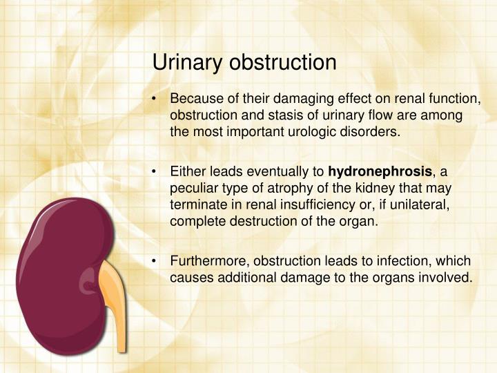 PPT - Urology Case PowerPoint Presentation - ID:494835