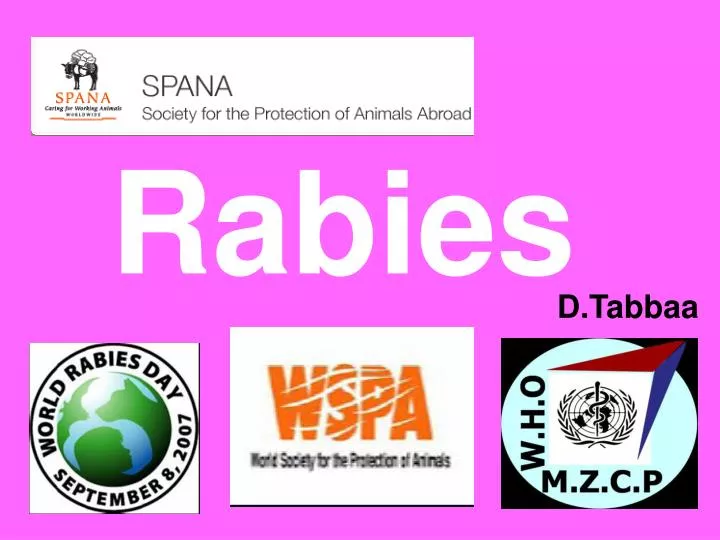 PPT - Rabies PowerPoint Presentation, free download - ID:495214