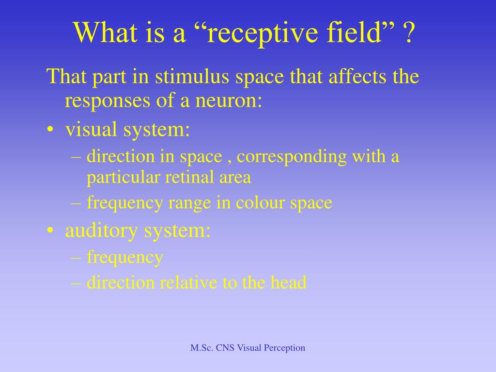PPT - Concept of receptive field PowerPoint Presentation, free download ... PPT - Concept of receptive field PowerPoint Presentation, free download ...