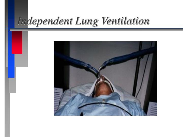 PPT - RESPIRATORY FAILURE and ARDS PowerPoint Presentation - ID:497707
