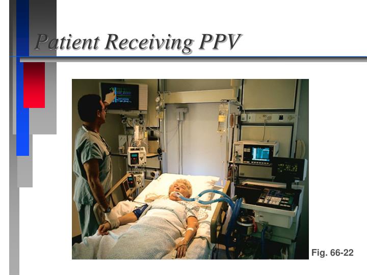PPT - RESPIRATORY FAILURE and ARDS PowerPoint Presentation - ID:497707