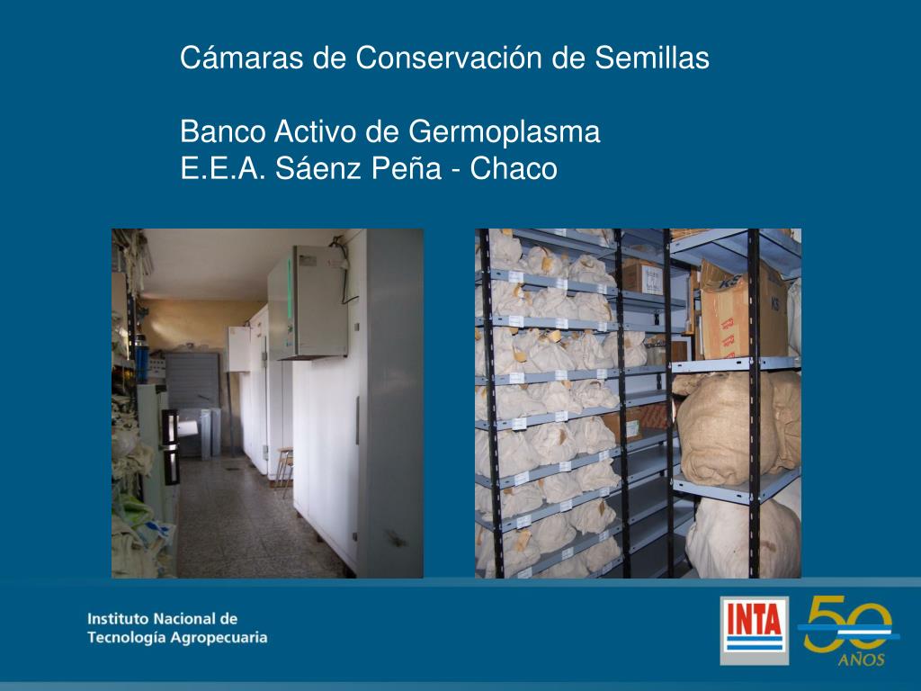 PPT - Red de Bancos de Germoplasma del INTA en Argentina PowerPoint ...