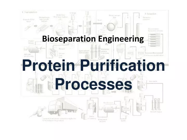 PPT - Protein Purification Processes PowerPoint Presentation, free ...
