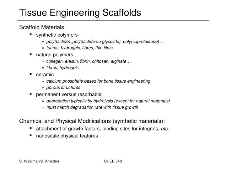 PPT - Tissue Engineering PowerPoint Presentation - ID:499539