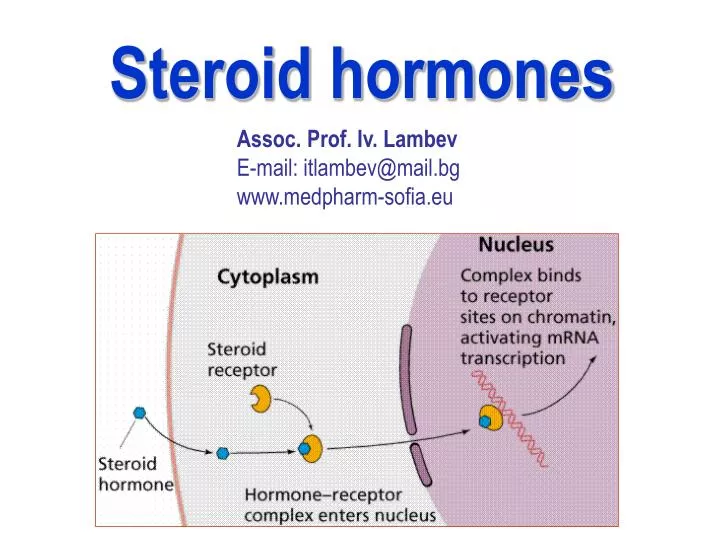PPT - Steroid hormones PowerPoint Presentation, free download - ID:500033