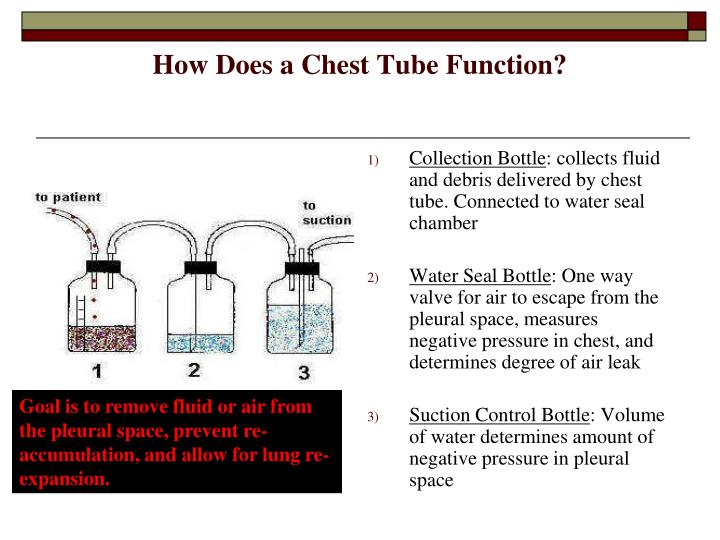 PPT - Chest Tubes: Indication to Removal Chest Tube Care and Monitoring ...