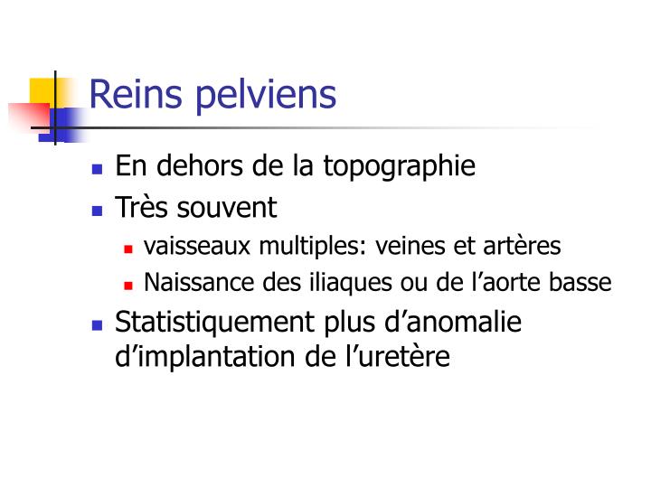 PPT - Anatomie et Impératifs Greffe et Prélèvement: Rein PowerPoint ...