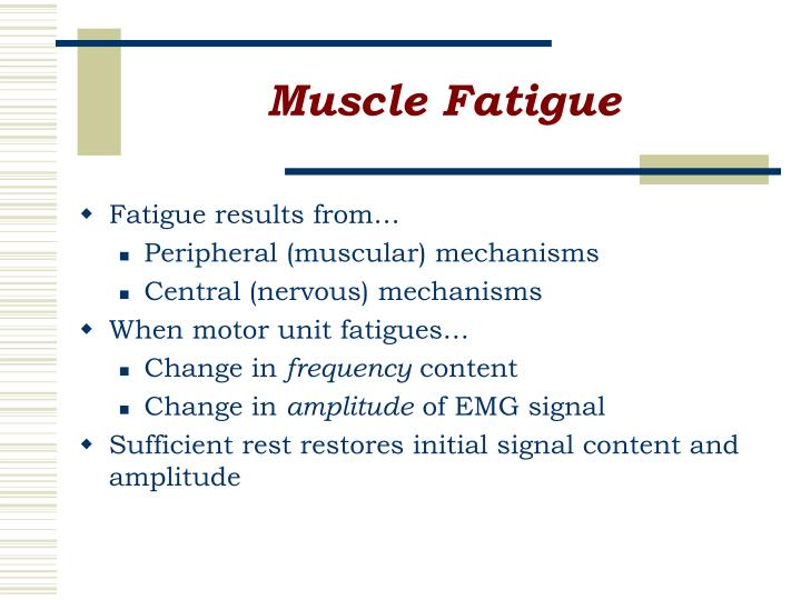 PPT - Characteristics of Muscle PowerPoint Presentation - ID:503156
