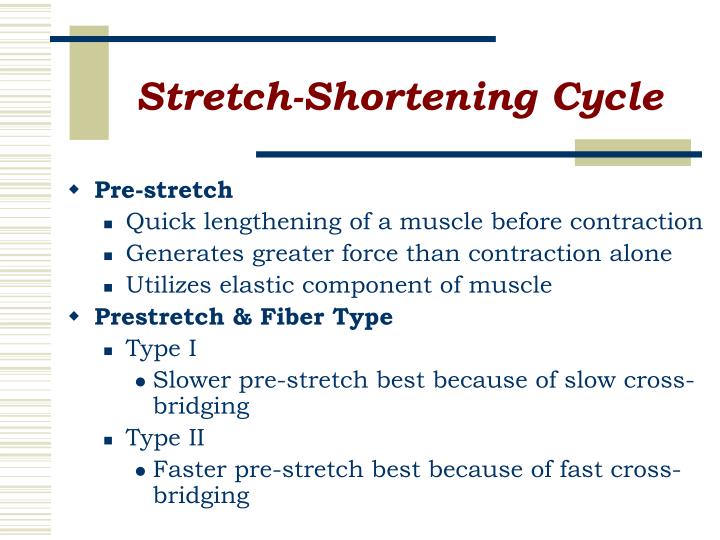 PPT - Characteristics of Muscle PowerPoint Presentation - ID:503156