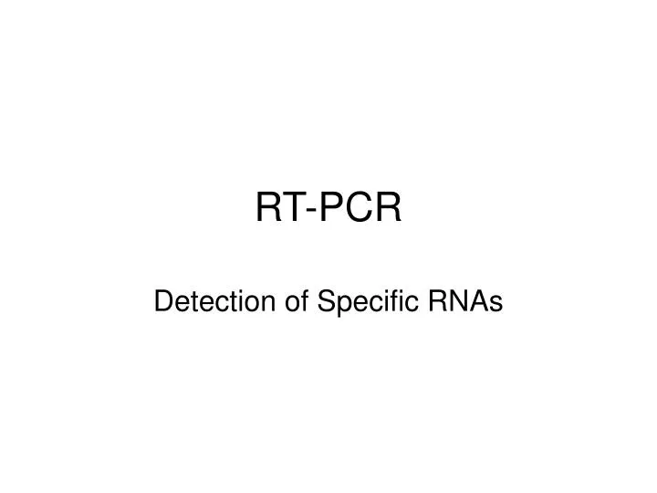PPT - RT-PCR PowerPoint Presentation, free download - ID:505468