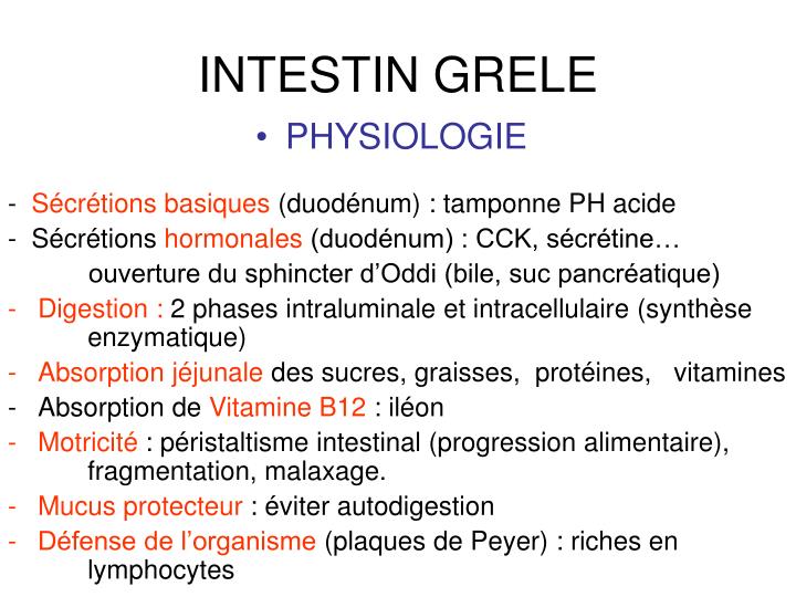 PPT - ANATOMIE - PHYSIOLOGIE DU TUBE DIGESTIF Dr V.Hyrailles-Blanc ...