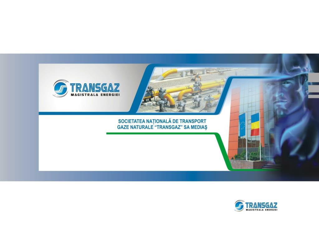 PPT - TRANSGAZ SA – cadru legal PowerPoint Presentation, free download ...