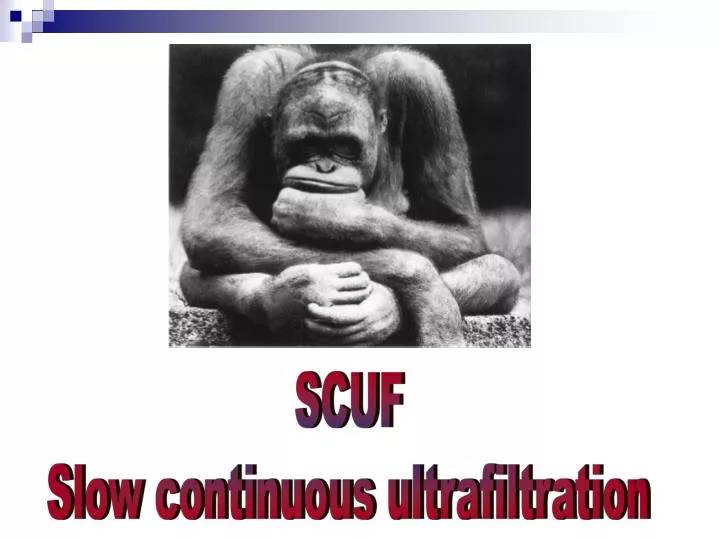 PPT - SCUF Slow continuous ultrafiltration PowerPoint Presentation ...