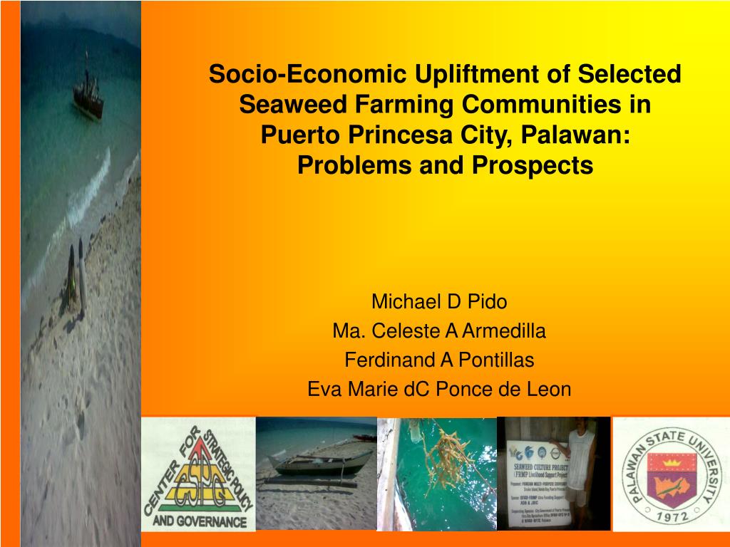 PPT - Socio-Economic Upliftment of Selected Seaweed Farming Communities ...