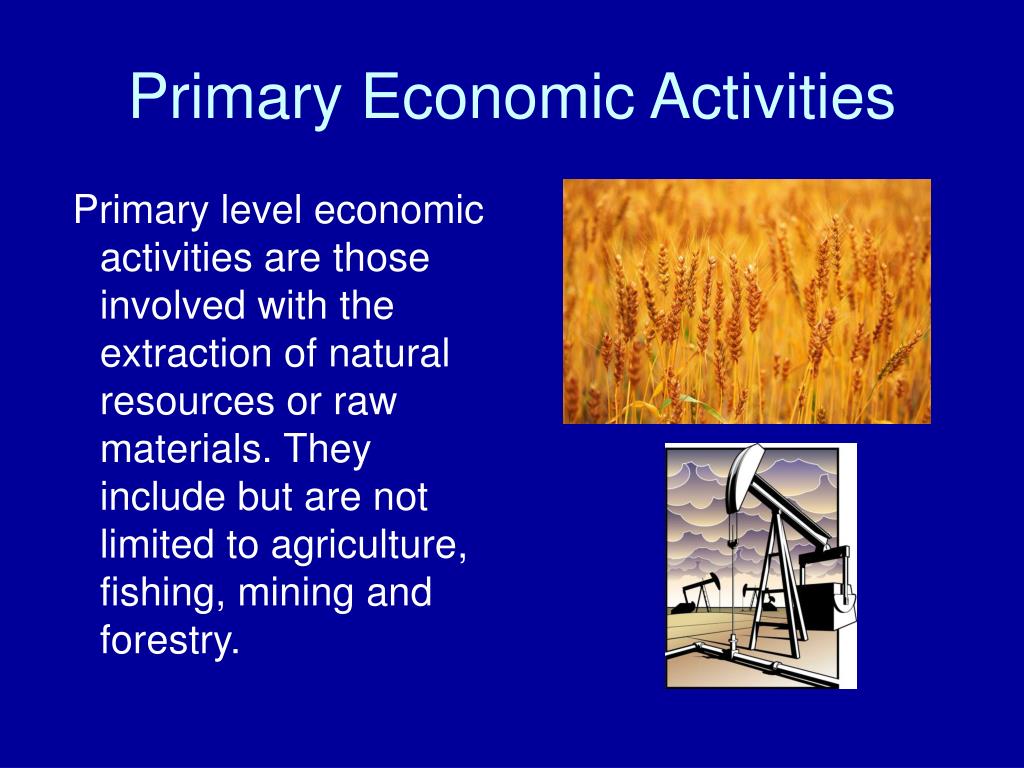Tertiary Economic Activity Definition Geography Primary Secondary
