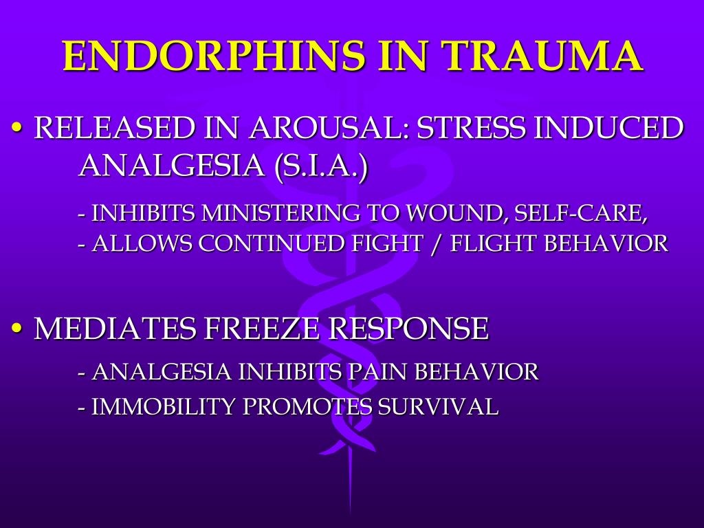PPT - THE TRAUMA SPECTRUM AND ITS CLINICAL IMPLICATIONS ROBERT SCAER, M ...