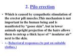 PPT - Body Temperature And Its Regulation PowerPoint Presentation - ID ...