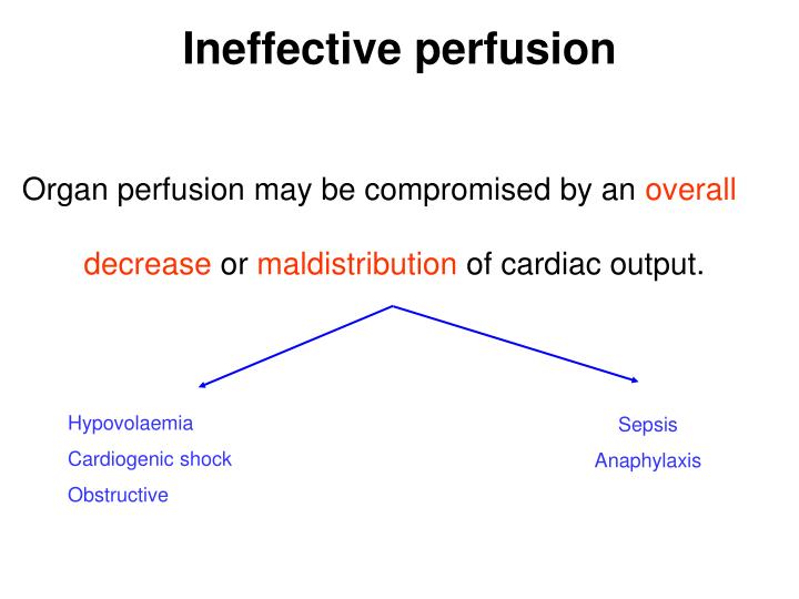 PPT - Physiology of shock PowerPoint Presentation - ID:515401