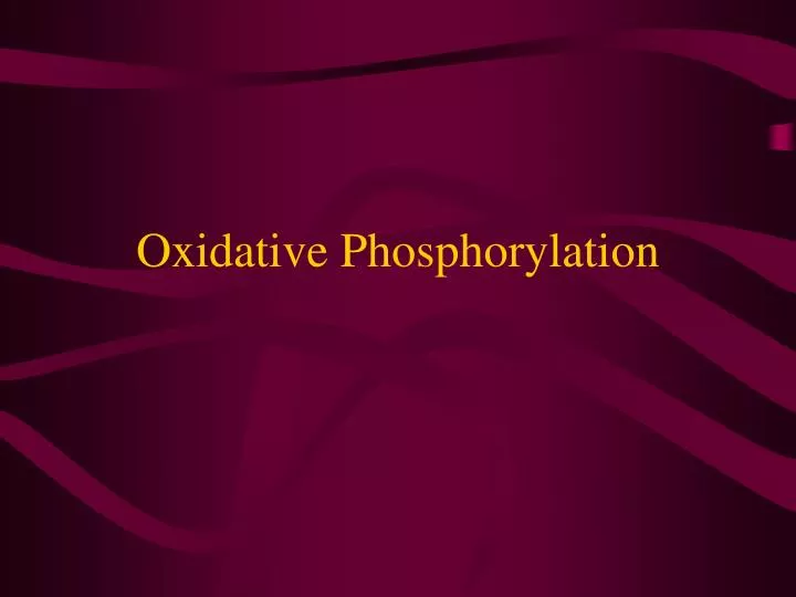 PPT - Oxidative Phosphorylation PowerPoint Presentation, free download ...