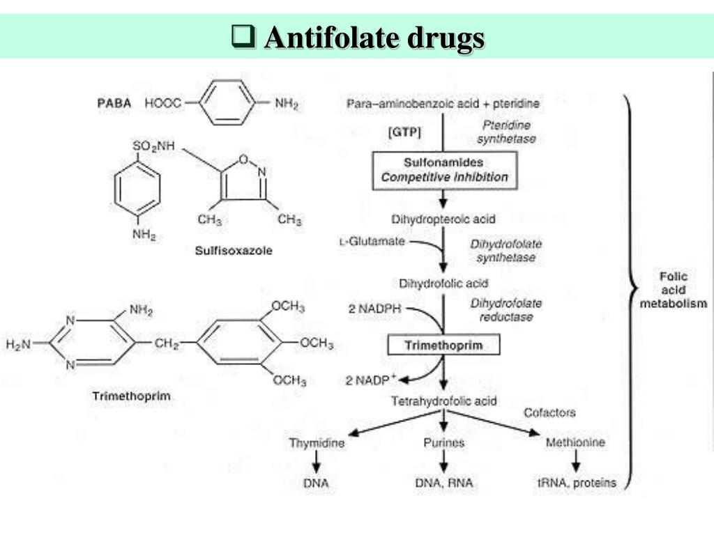 PPT - 化学治疗药物 Chemotherapeutic Drugs PowerPoint Presentation - ID:516213
