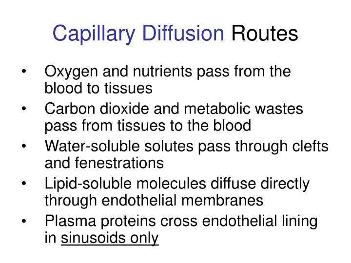 PPT - Chapter 19. PowerPoint Presentation - ID:519646