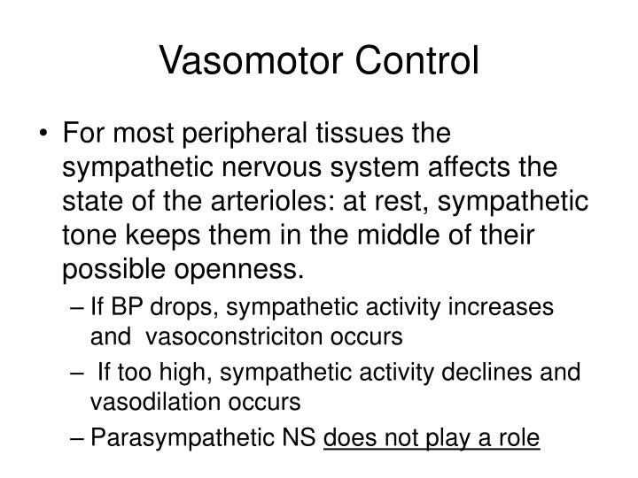 PPT - Chapter 19. PowerPoint Presentation - ID:519646
