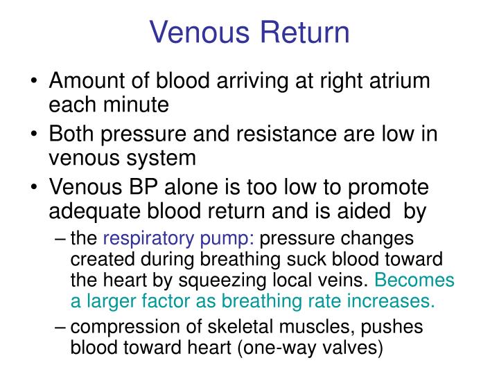 PPT - Chapter 19. PowerPoint Presentation - ID:519646