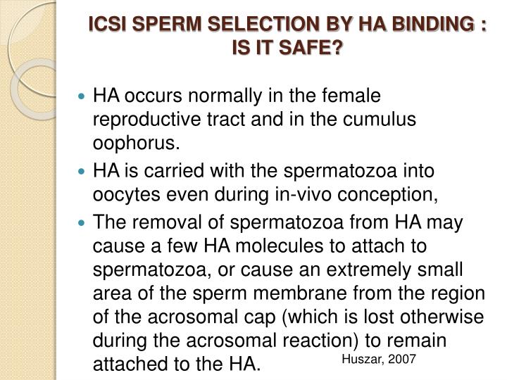 PPT - THE NOVEL METHOD FOR MATURE SPERM SELECTION IN ICSI (PICSI –DISH ...