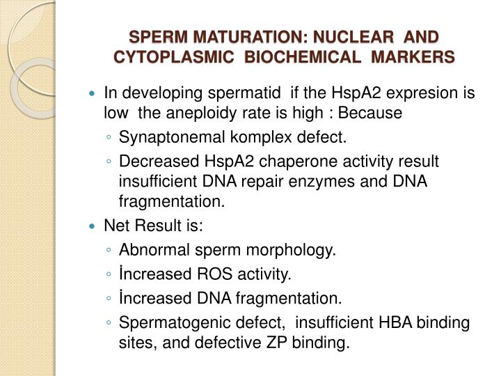 PPT - THE NOVEL METHOD FOR MATURE SPERM SELECTION IN ICSI (PICSI –DISH ...