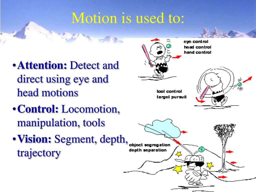 PPT - Optic Flow and Motion Detection PowerPoint Presentation, free ... PPT - Optic Flow and Motion Detection PowerPoint Presentation, free ...