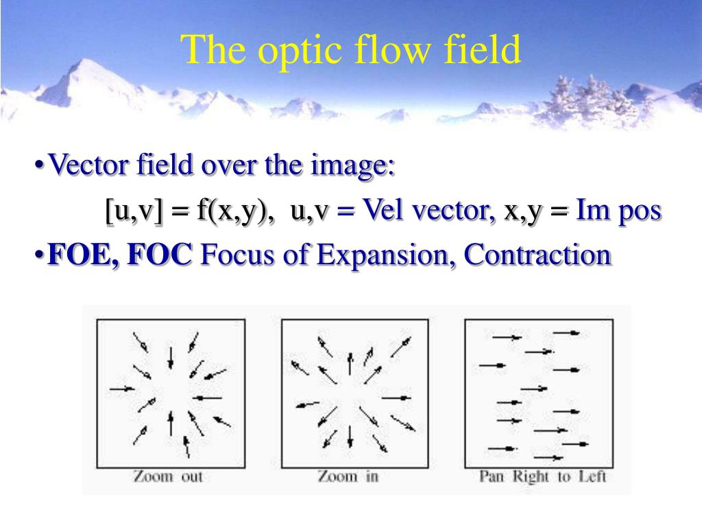 PPT - Optic Flow and Motion Detection PowerPoint Presentation, free ... PPT - Optic Flow and Motion Detection PowerPoint Presentation, free ...